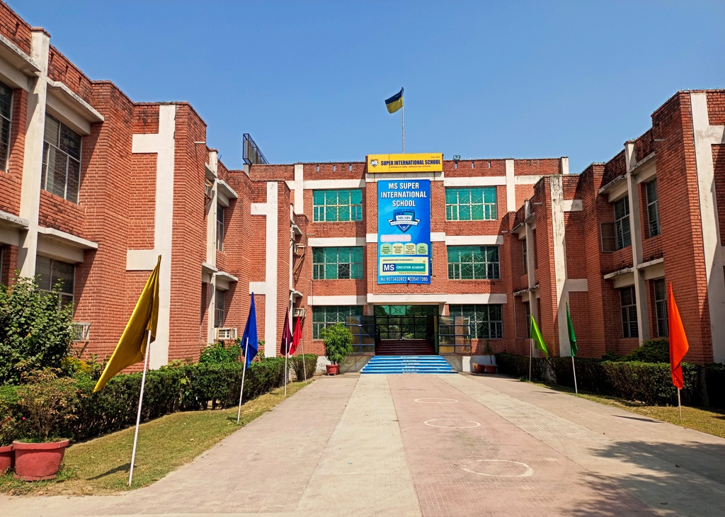 MS International School